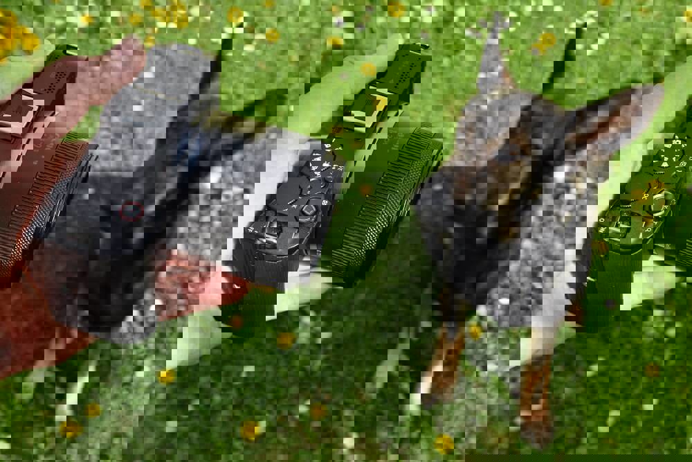 Canon EOS R50 V (TEST): die Traumkamera eines jeden Vloggers? | Alza.at