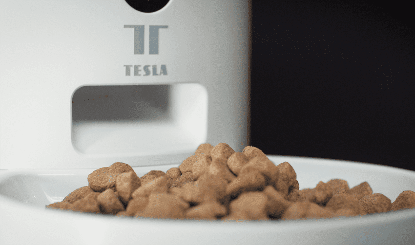 Tesla Smart Pet Feeder Camera – nakrmí i pohlídá vašeho mazlíčka | Alza.cz