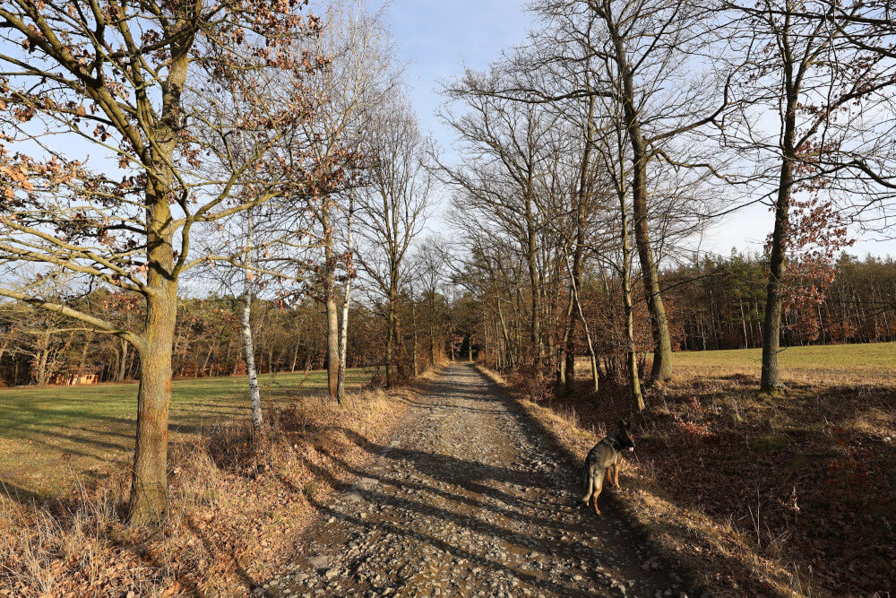 Canon RF 16-28 mm f/2,8 IS STM (TESZT) | Alza.hu