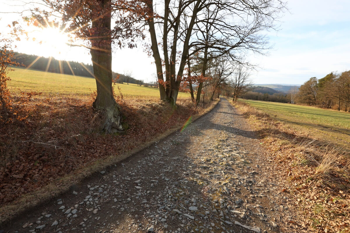 Canon RF 16-28 mm f/2,8 IS STM (TESZT) | Alza.hu