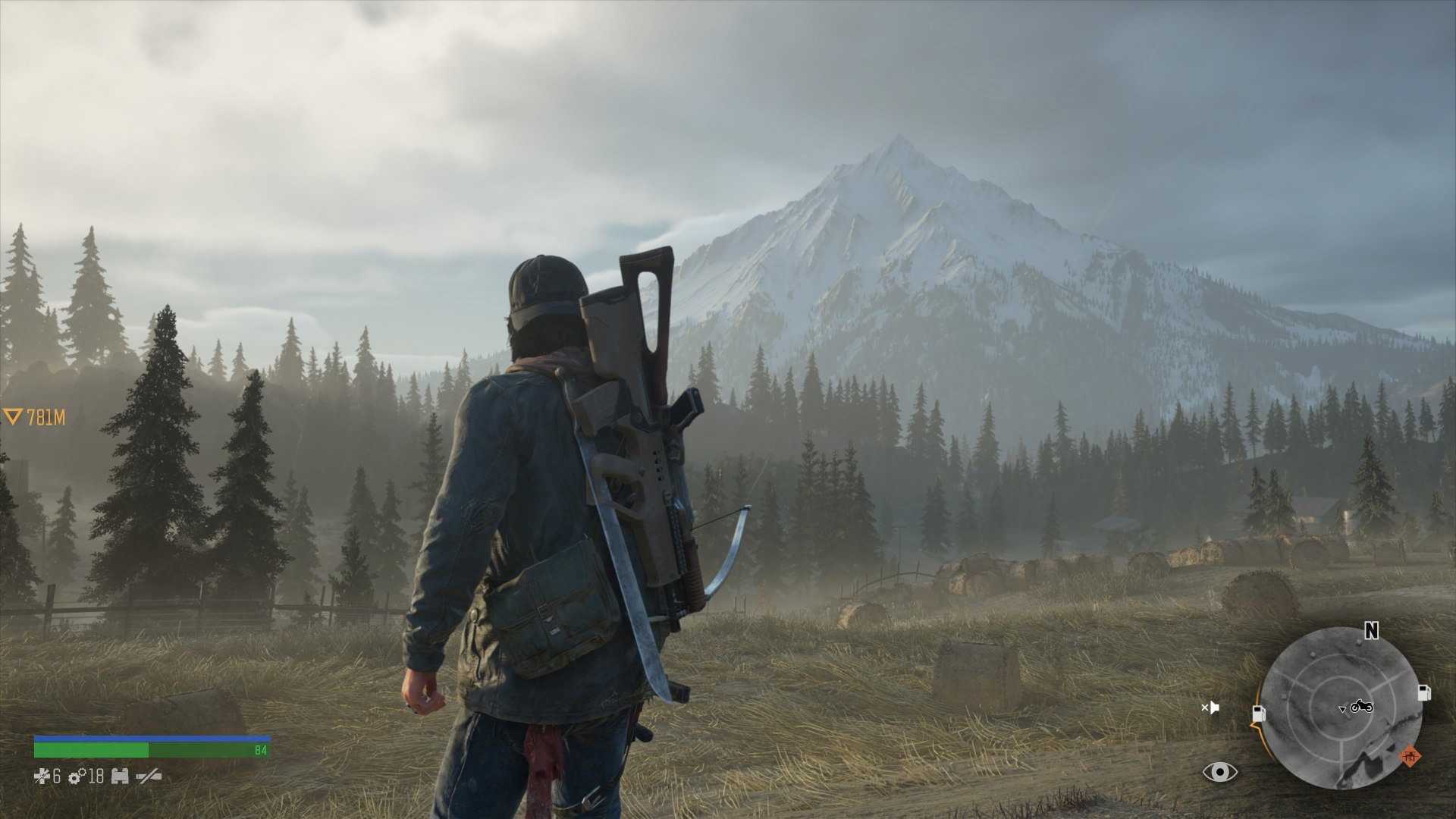 Days Gone Remastered (RECENZE) | Alza.cz