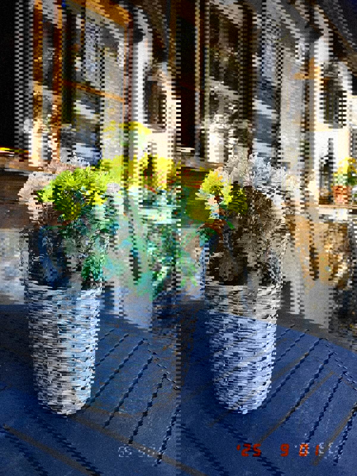 Fujifilm X-Half (TEST): Digitales Analog für Feinschmecker | Alza.at