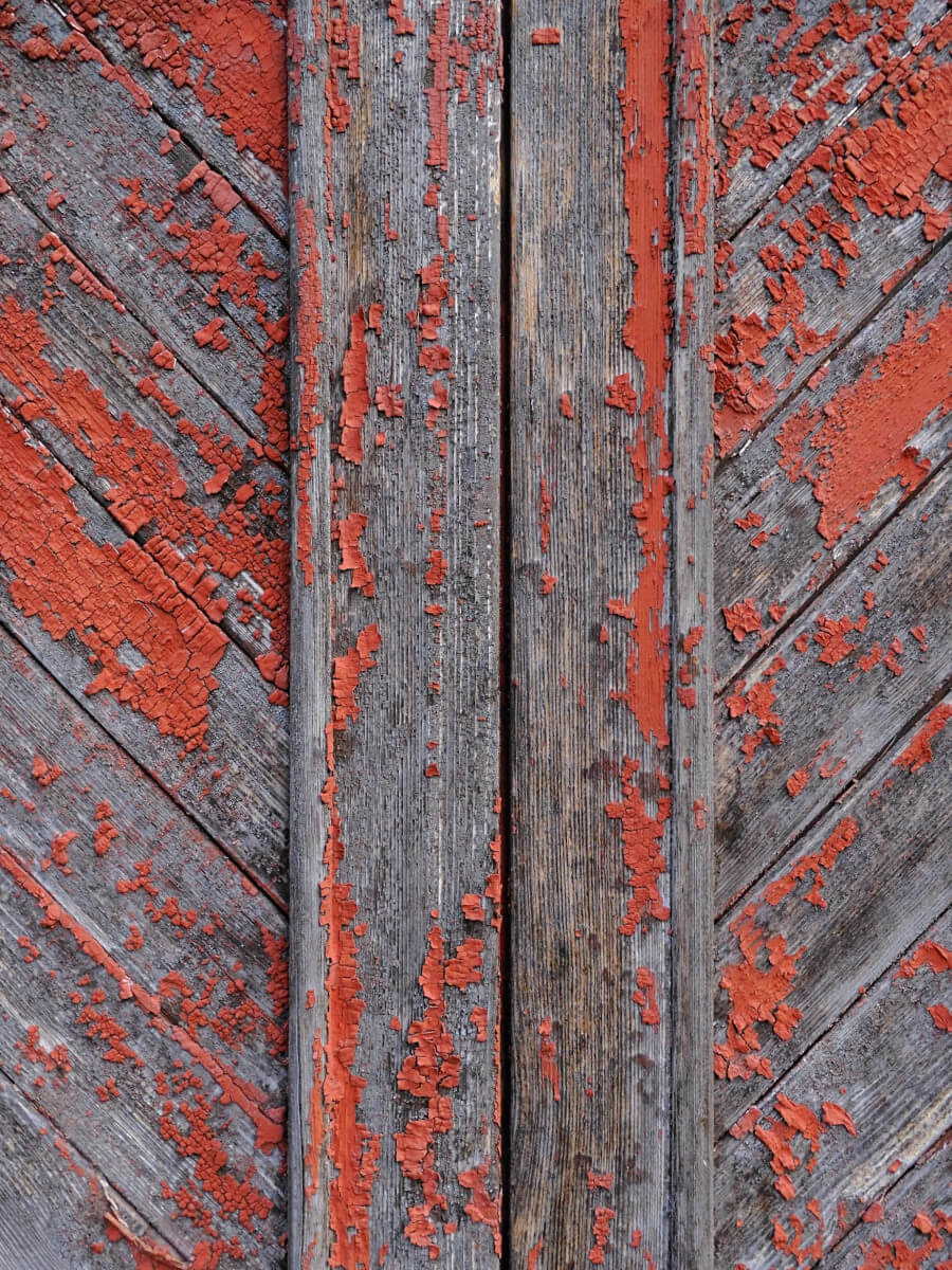 Fujifilm X-Half (RECENZE): digitální analog pro fajnšmekry | Alza.cz