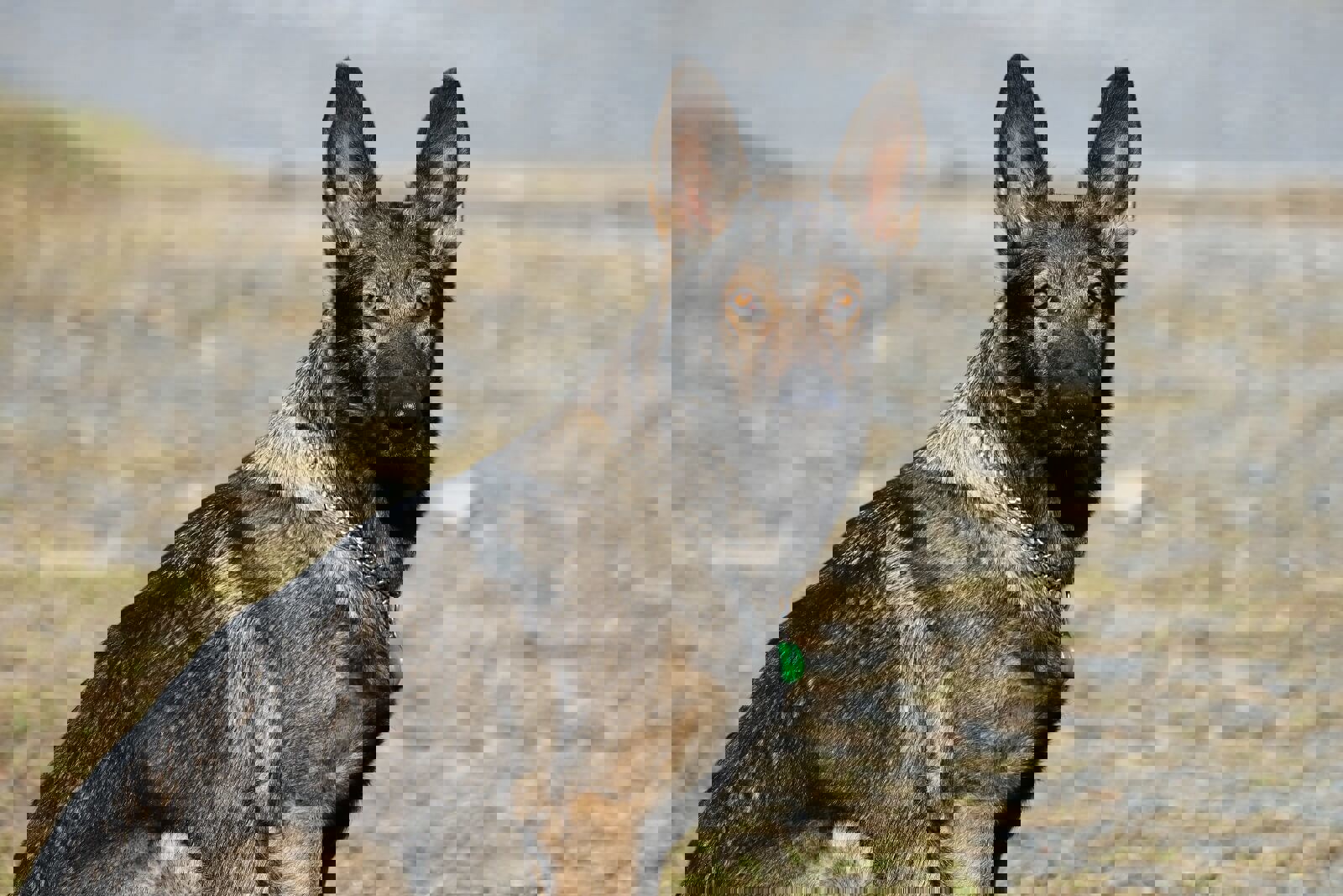 Fujifilm X-M5 (RECENZE): když chcete být jedineční a styloví | Alza.cz