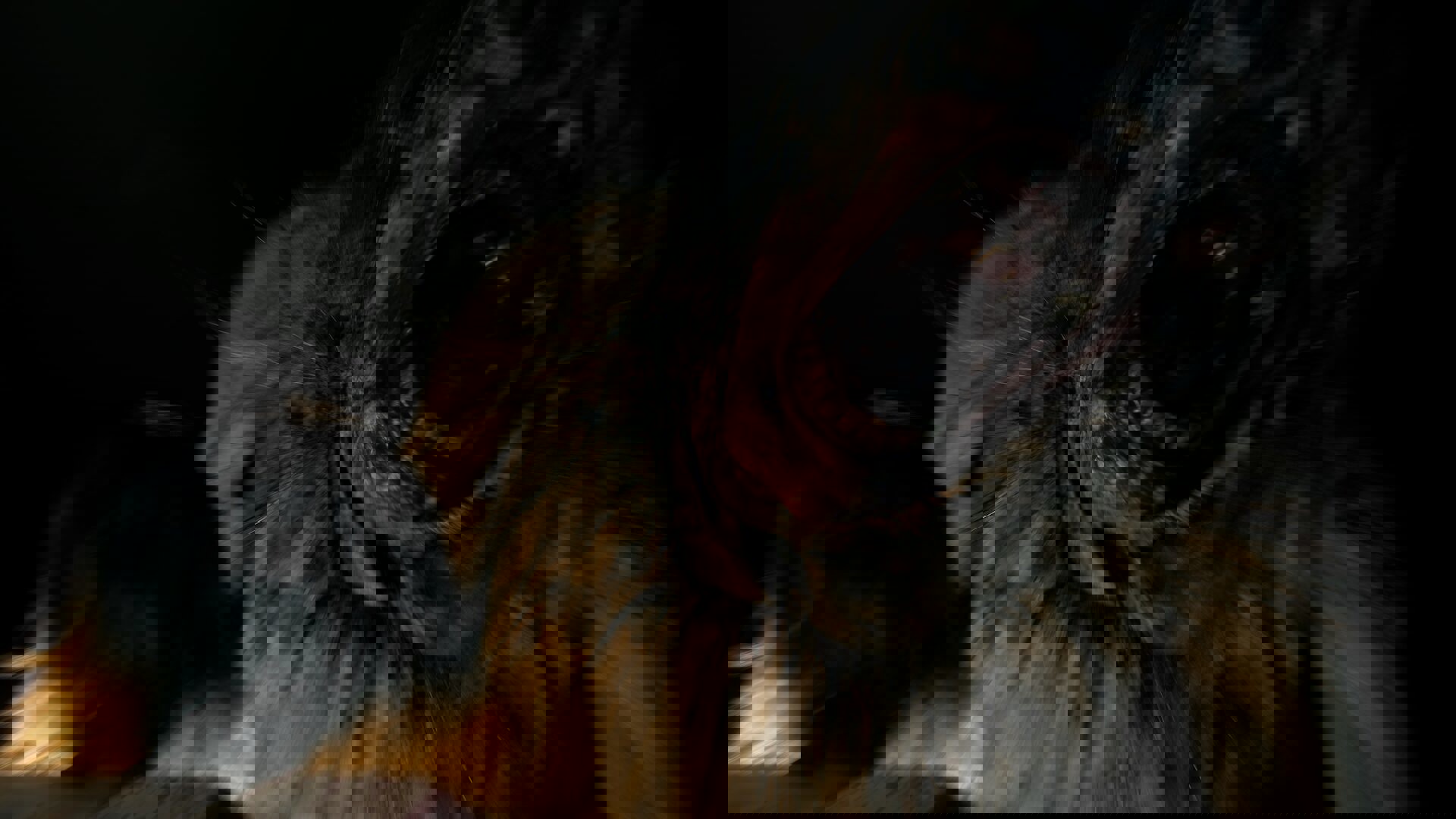 Resident Evil Requiem – Alles, was Sie wissen müssen | Alza.at