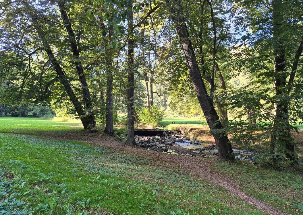 Samsung Galaxy S25 FE (RECENZE): Spolehlivá a dobře obhajitelná volba ...