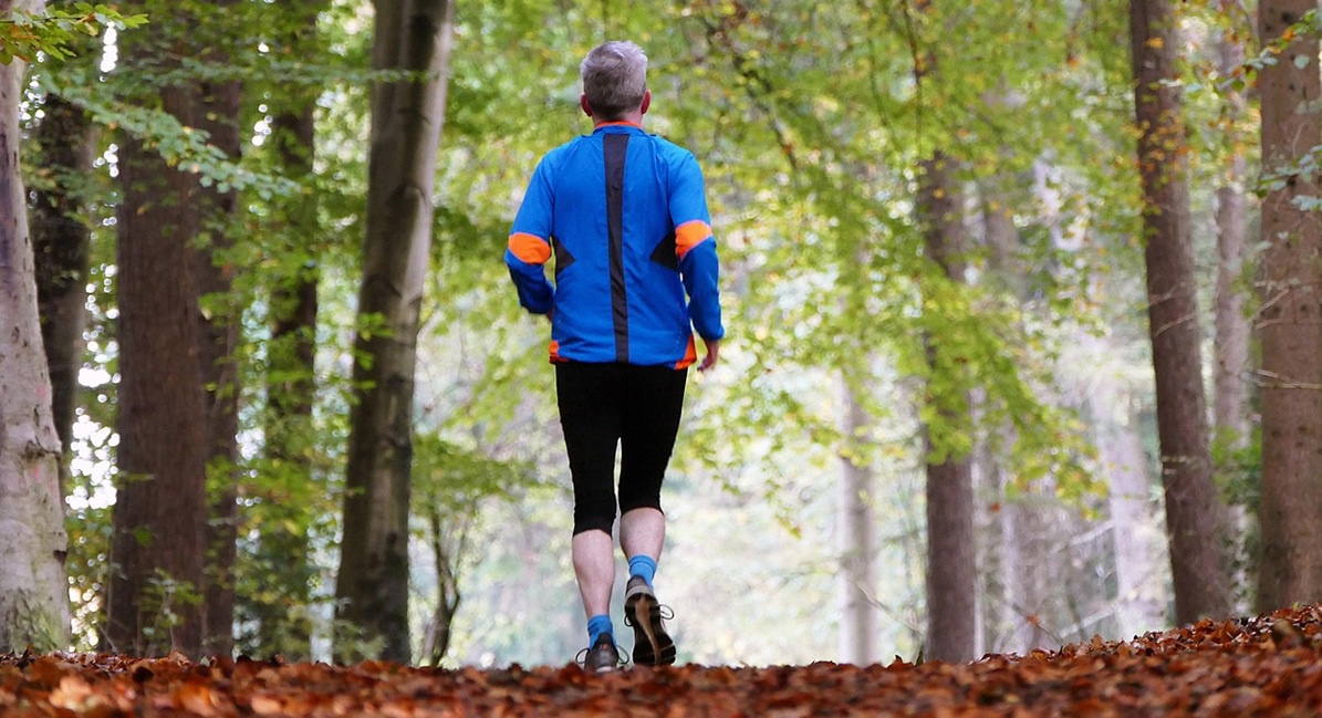 Pohyb a cvičení: proč je aktivní tělo základem zdravého stárnutí | Alza.cz