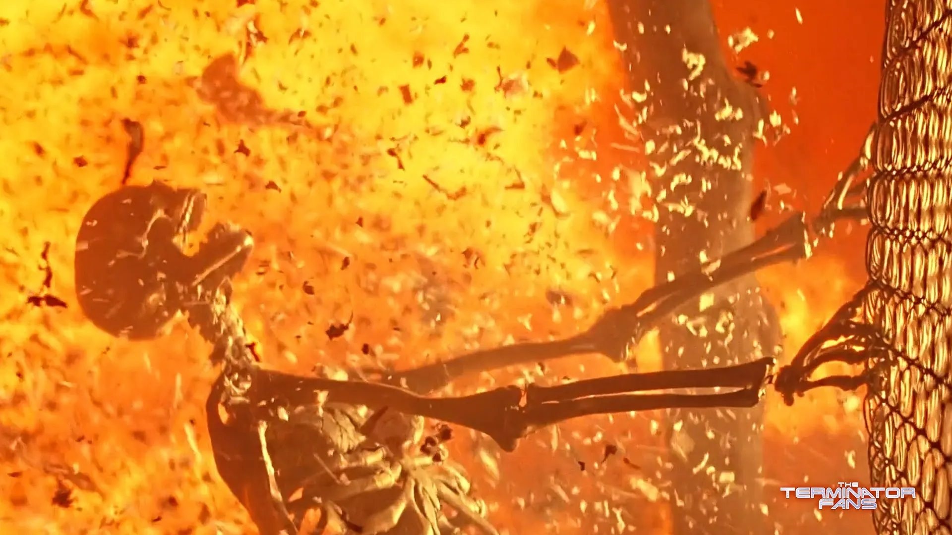 Terminator Survival Project – Vše, co potřebujete vědět | Alza.cz