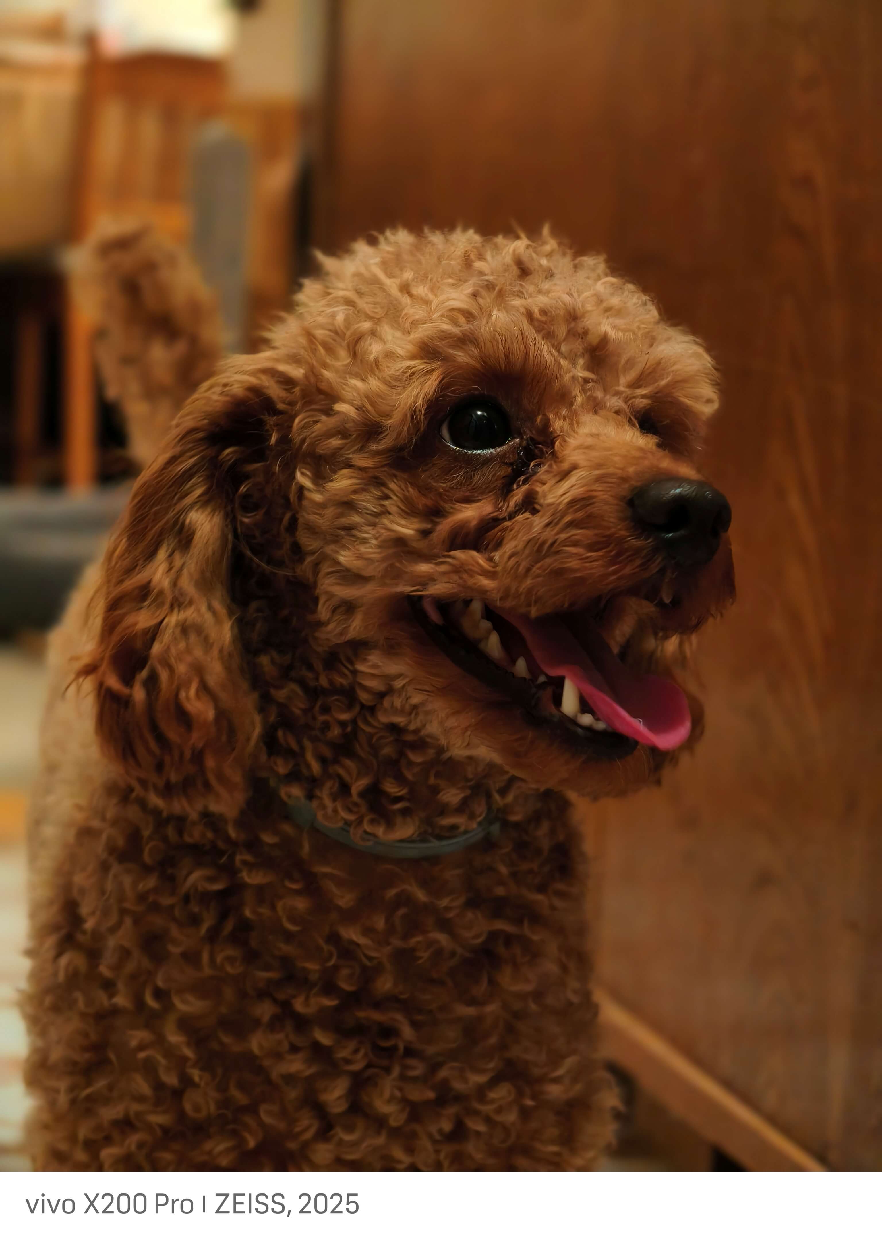 Vivo X200 Pro (RECENZE): Top telefon s nádherným displejem a téměř ...