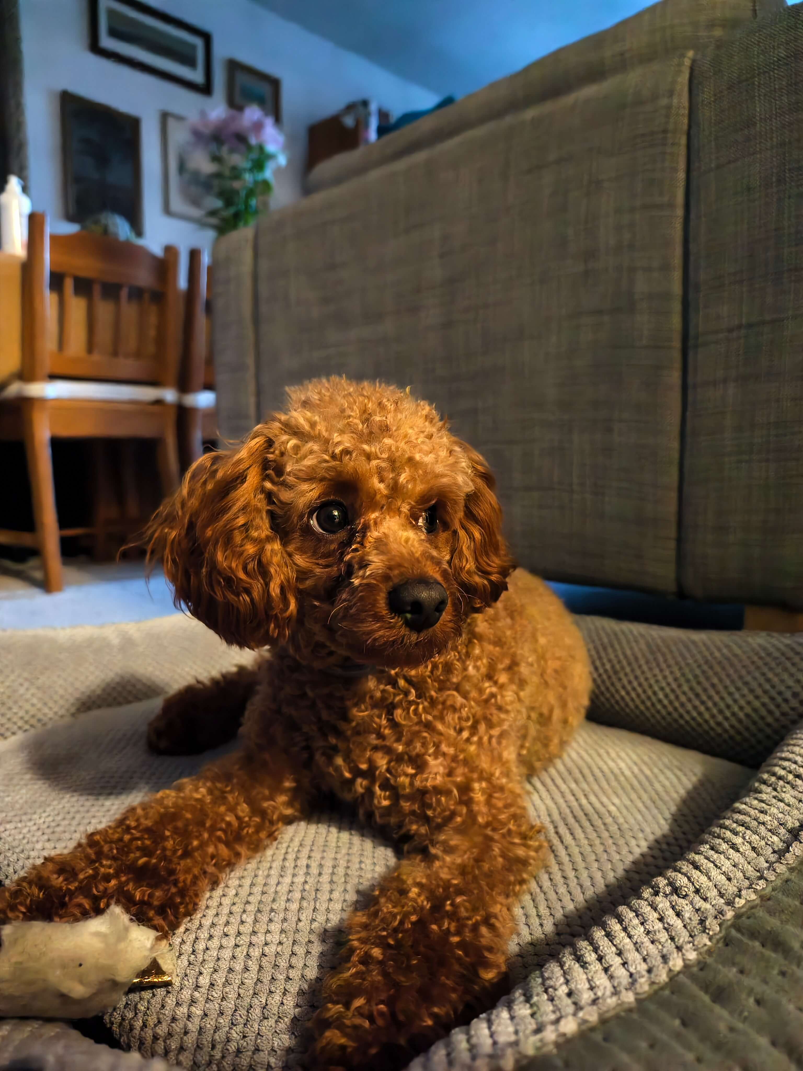 Vivo X200 Pro (RECENZE): Top telefon s nádherným displejem a téměř ...