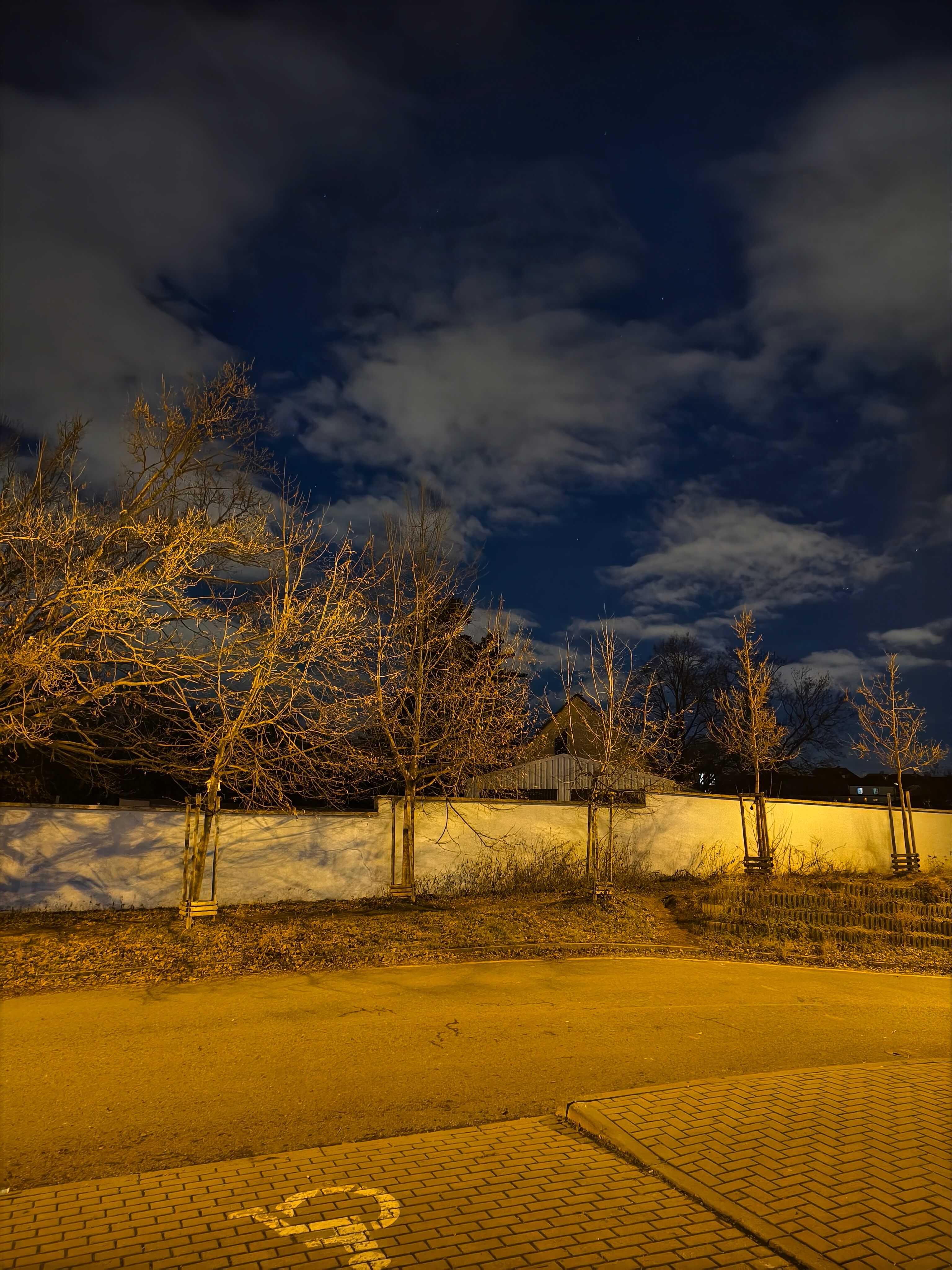 Vivo X200 Pro (RECENZE): Top telefon s nádherným displejem a téměř ...