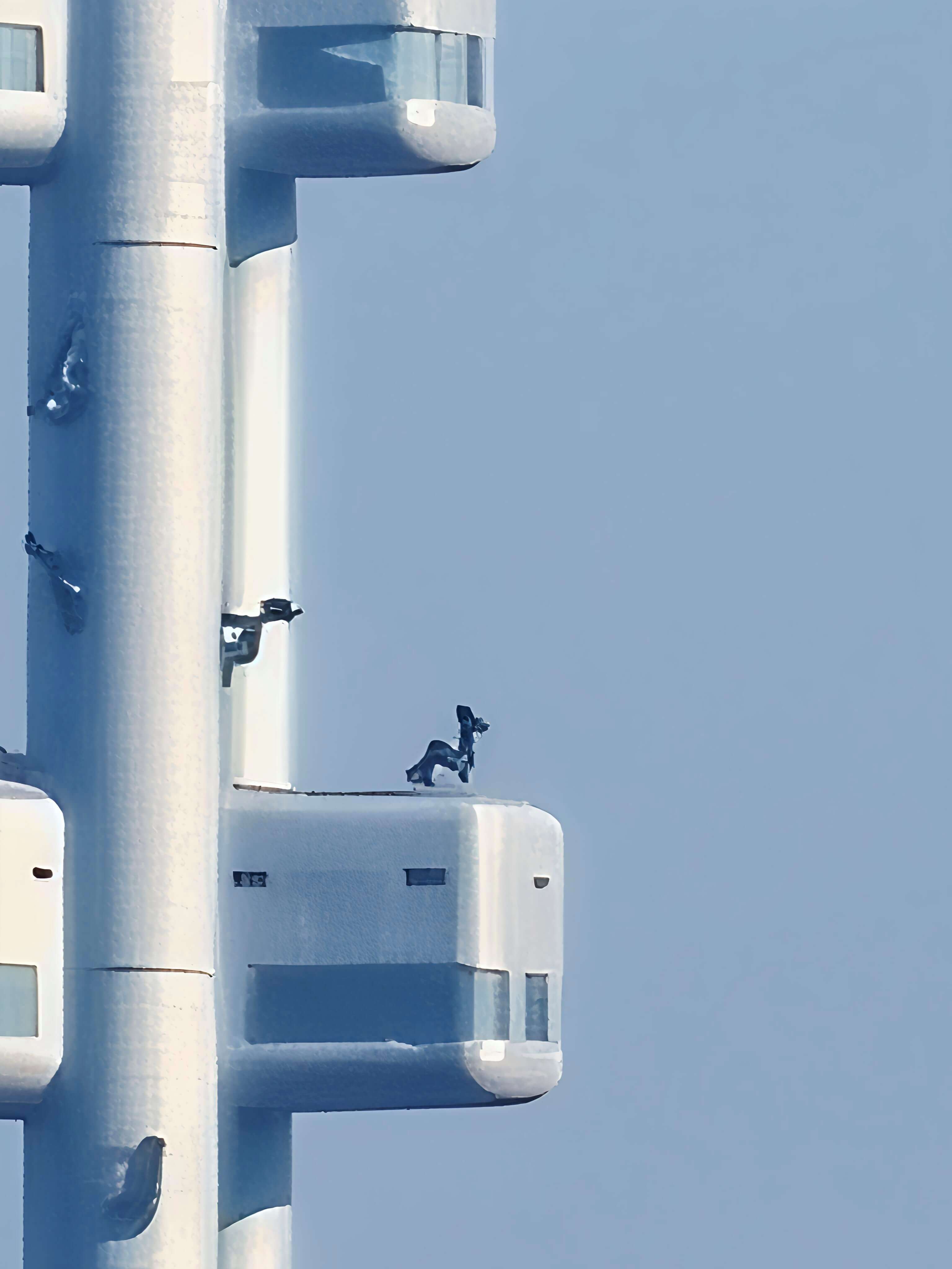 OnePlus 13 (RECENZE): Úžasně všestranný telefon jen s minimálními ...