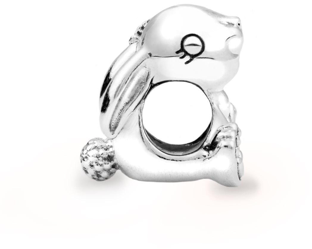 PANDORA Friends 798763C00 - Přívěsek | Alza.cz